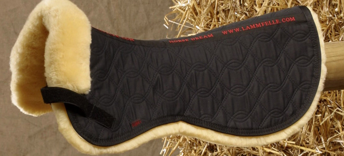 Half Pads – Horsedream Importers